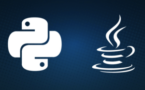 Java x Python: principais diferenças, qual é o melhor para aprender ...